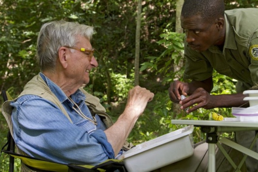 LA TARANTOLA GOLIA, IL RAGNO PIÙ GRANDE DEL MONDO [FOTO]