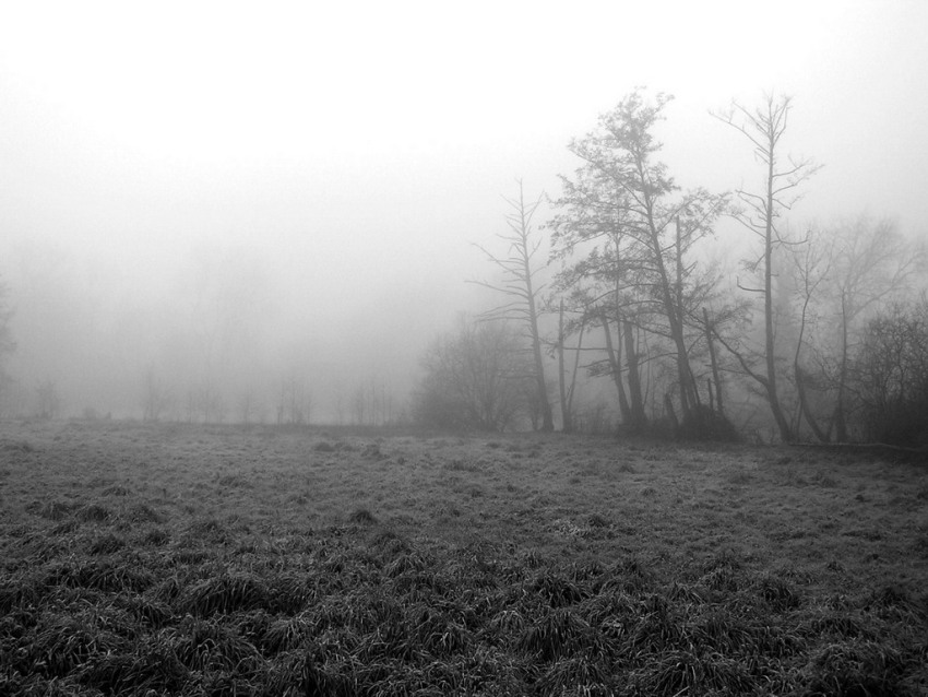 LA NEBBIA, UN FENOMENO METEOROLOGICO AFFASCINANTE E MISTERIOSO [FOTO]