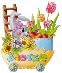 GIF E CARTOLINE PASQUALI