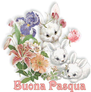 GIF E CARTOLINE PASQUALI