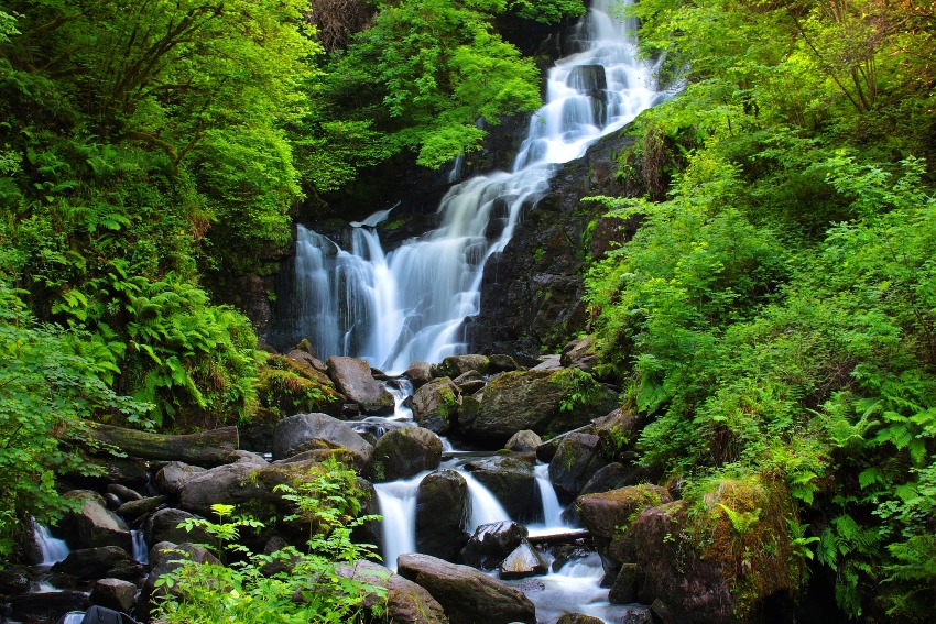 IRLANDA: IL PARCO NAZIONALE DI KILLARNEY, UN INCREDIBILE BELLEZZA DEL ...