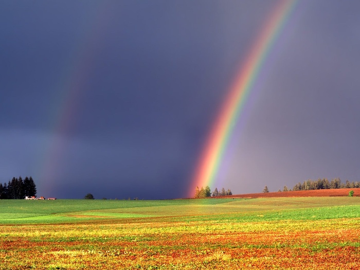 L'ARCOBALENO - LO SPETTACOLO DEI COLORI (NOTIZIE, FOTO E CURIOSITÀ)