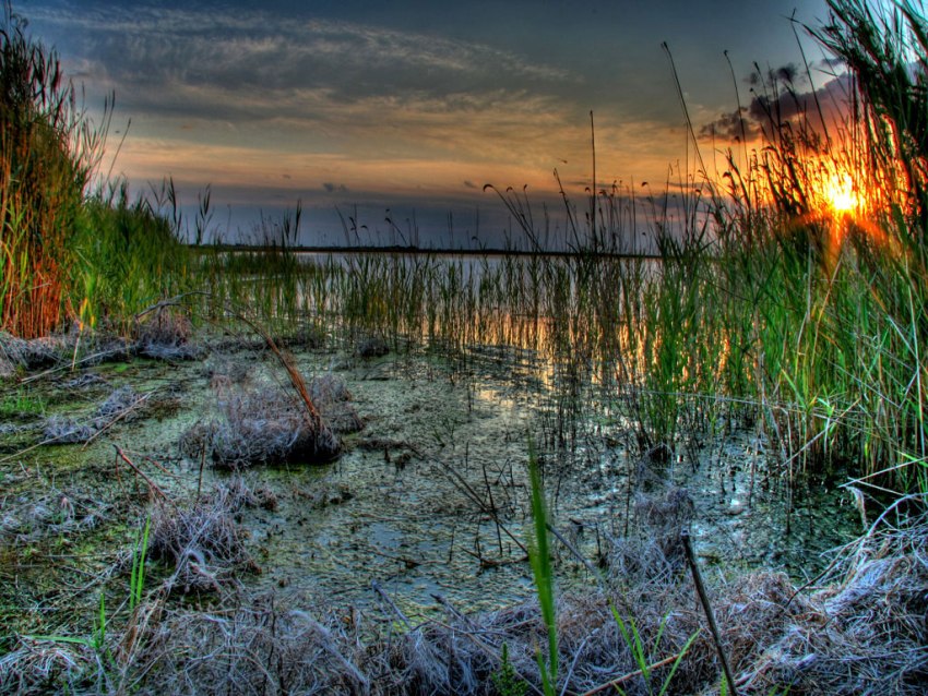 IL SUDD, LA PIÙ VASTA REGIONE PALUDOSA DEL MONDO