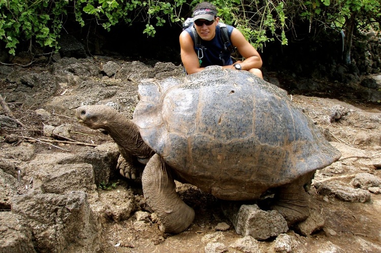 LA TESTUGGINE GIGANTE DELLE GALAPAGOS, ESTINTA O SOLO NASCOSTA?