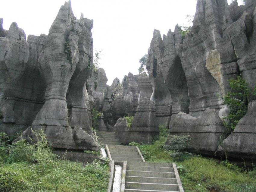 CINA: LA MAESTOSA FORESTA DI PIETRA O SHILIN
