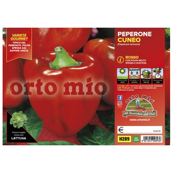 L'ESTATE NELL'ORTO: I PEPERONI