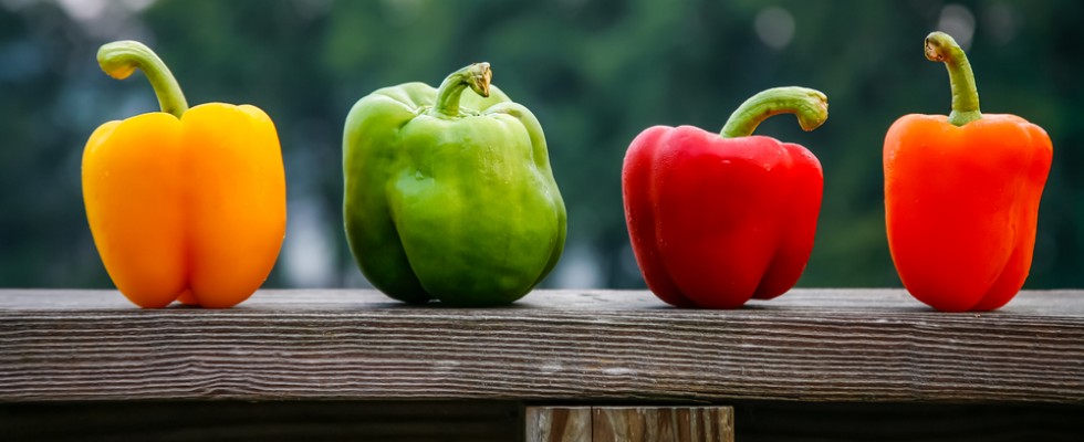 L'ESTATE NELL'ORTO: I PEPERONI